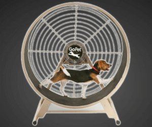 Dog Exercise Wheel | Awesome Geek Stuff – The Online Geek Catalogue